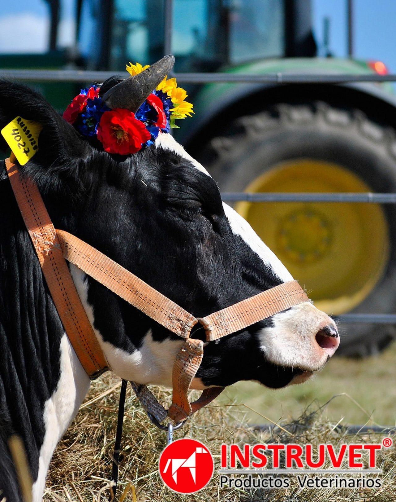 Arkatec - RoyalCondor®